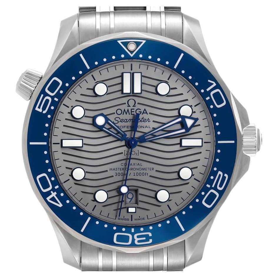 Omega Seamaster Diver Master Chronometer Watch 210.32.42.20.06.001 ...