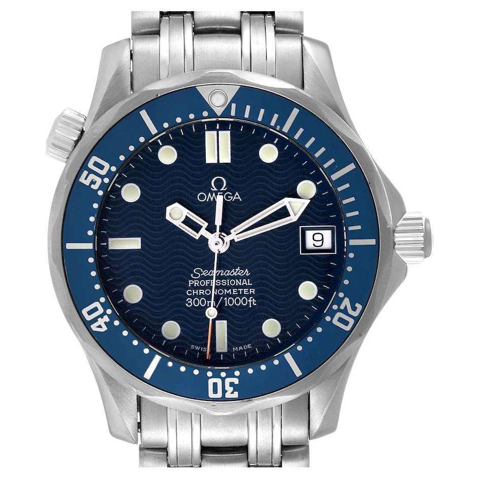 Omega Seamaster Professional 2551.80.00 Mid-Size Watch at 1stDibs