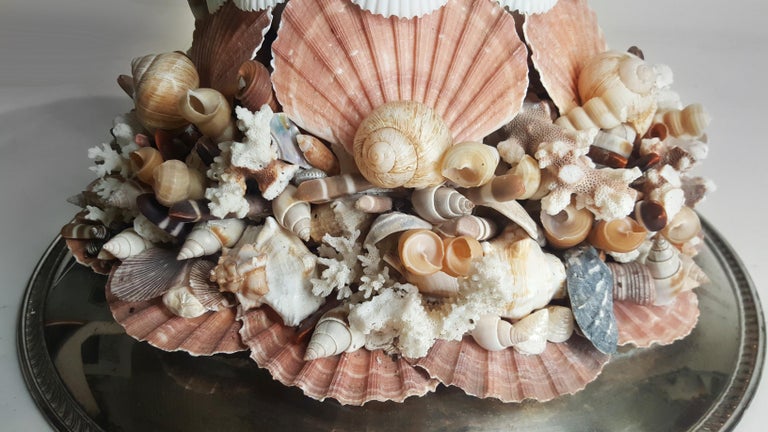 One-of-a-Kind Handmade Exotic Sea Shell Encrusted Silver Plated Display ...