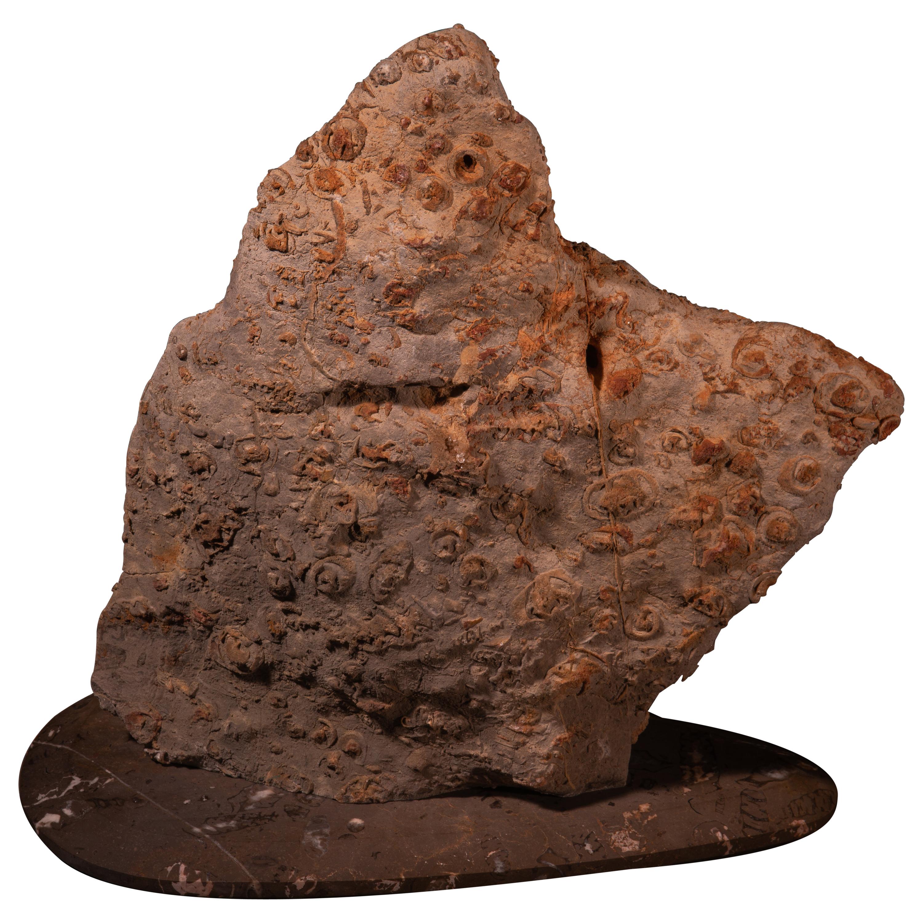 Aina One of a Kind Jurassic Fossil Marble Nature Sculpture, Unique ...