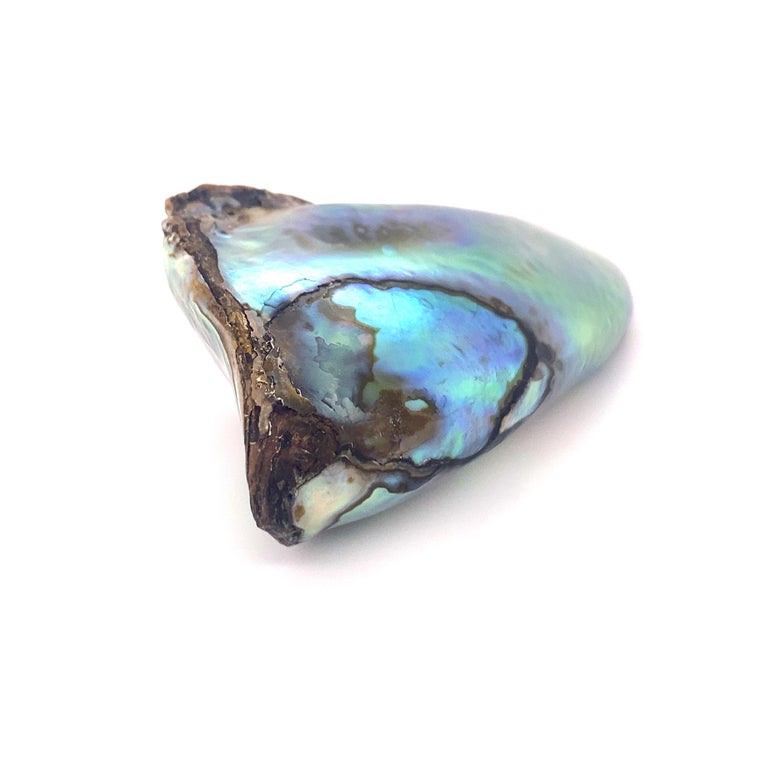 One of a Kind Natural Saltwater Abalone Pearl of Impressive Size For ...