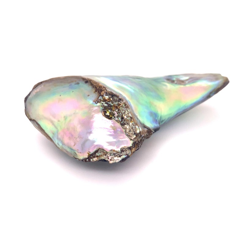 abalone pearl