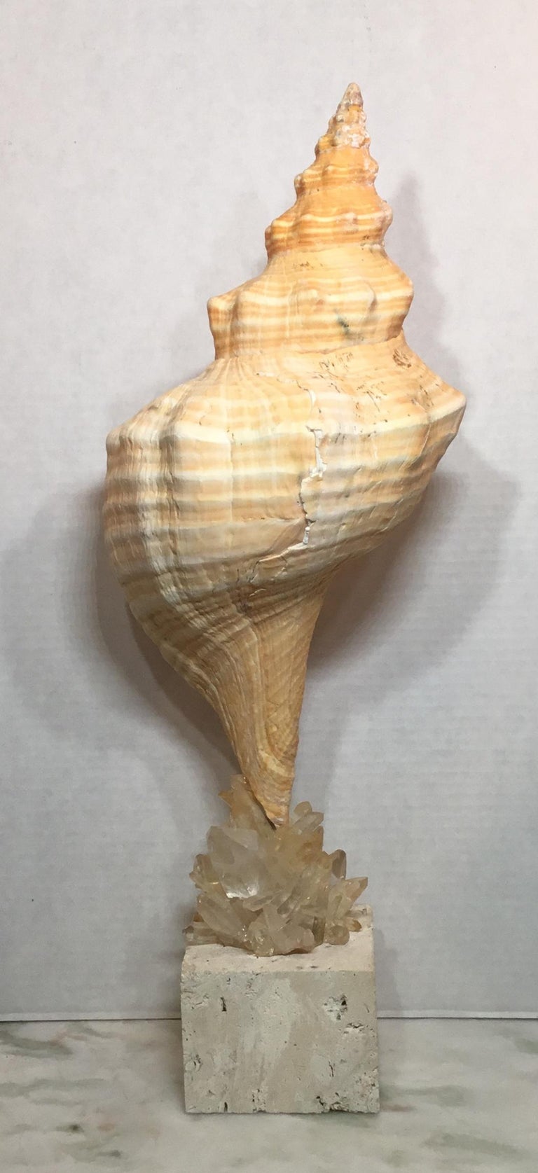 One of a Kind Sea Shell and Crystal Quartz For Sale at 1stDibs