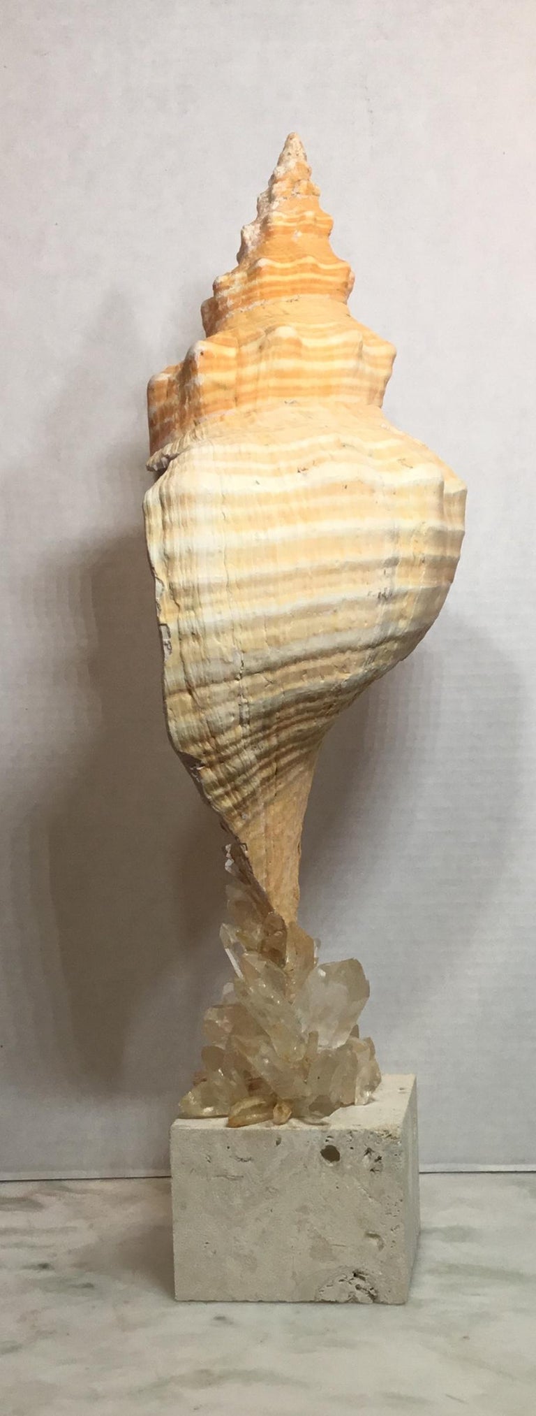 One of a Kind Sea Shell and Crystal Quartz For Sale at 1stDibs