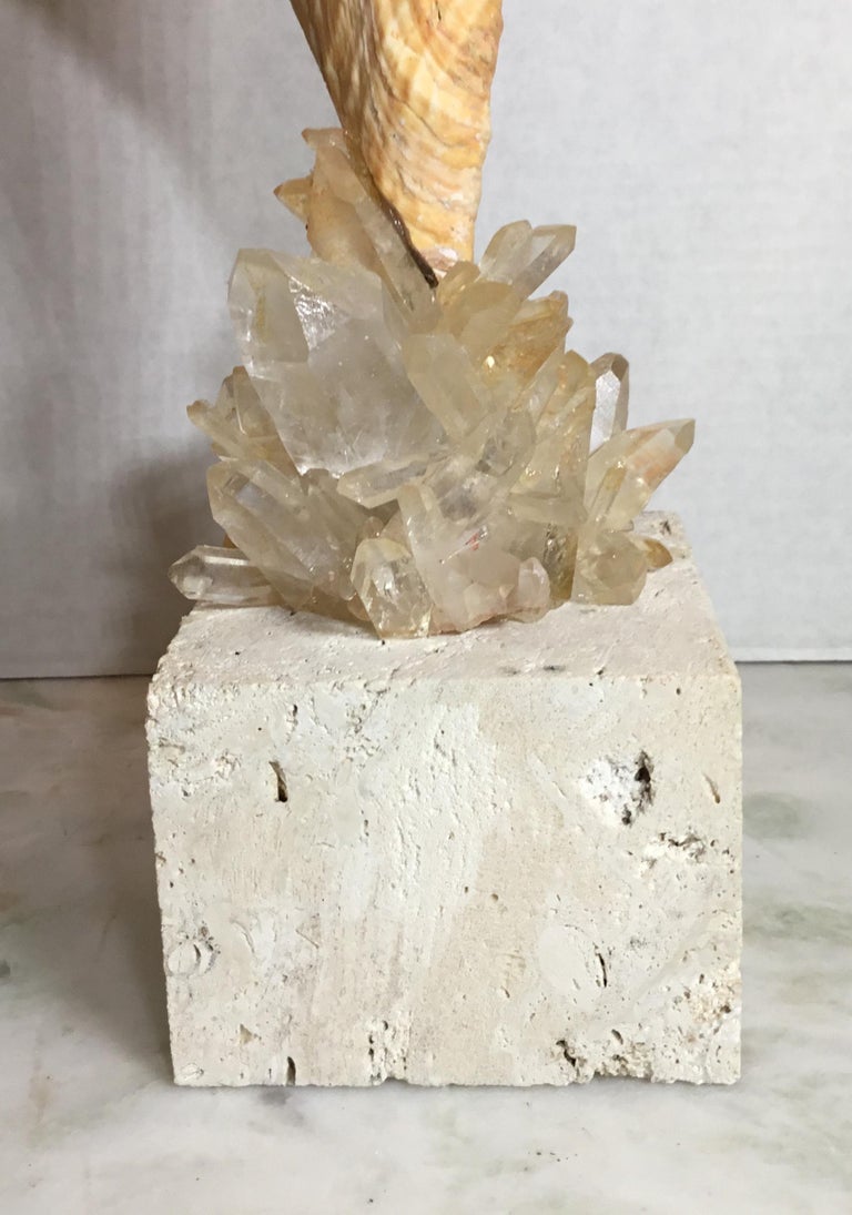 One of a Kind Sea Shell and Crystal Quartz For Sale at 1stDibs