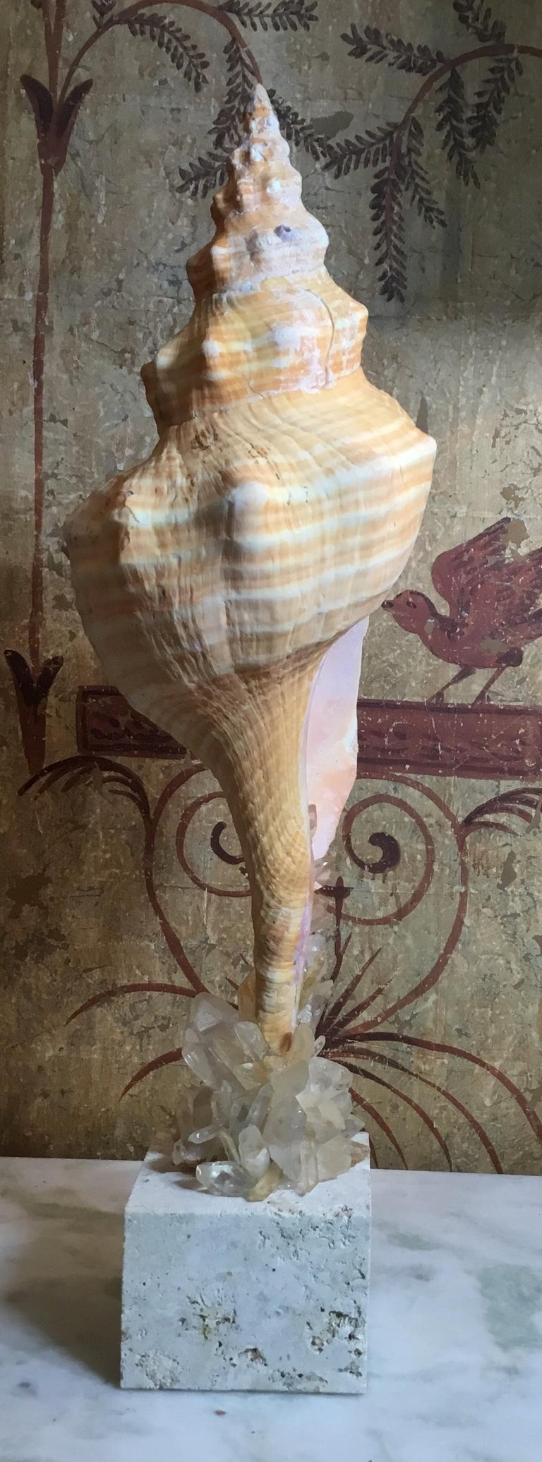 One of a Kind Sea Shell and Crystal Quartz For Sale at 1stDibs