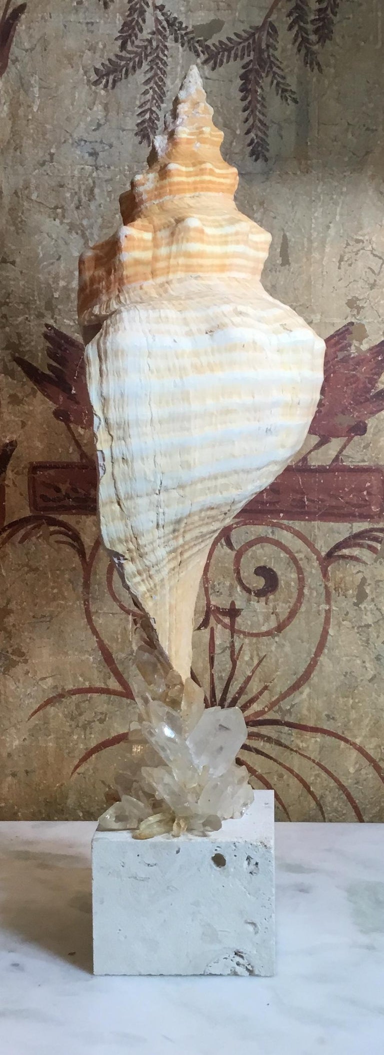 One of a Kind Sea Shell and Crystal Quartz For Sale at 1stDibs