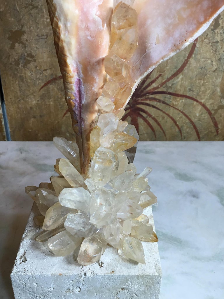 One of a Kind Sea Shell and Crystal Quartz For Sale at 1stDibs