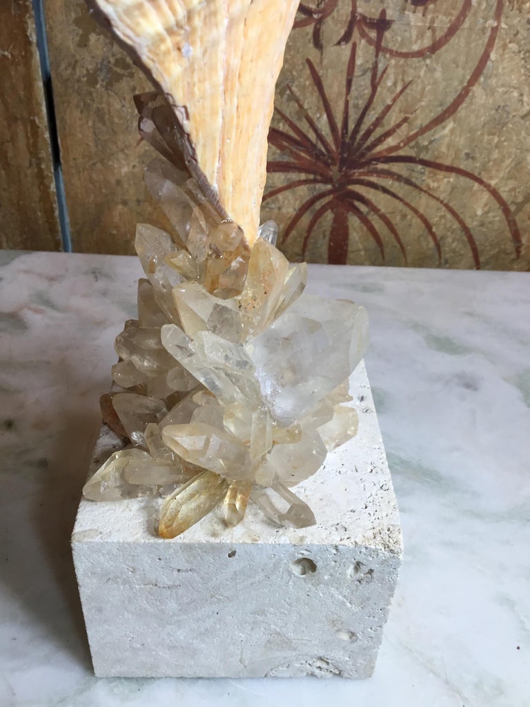 One of a Kind Sea Shell and Crystal Quartz For Sale at 1stDibs
