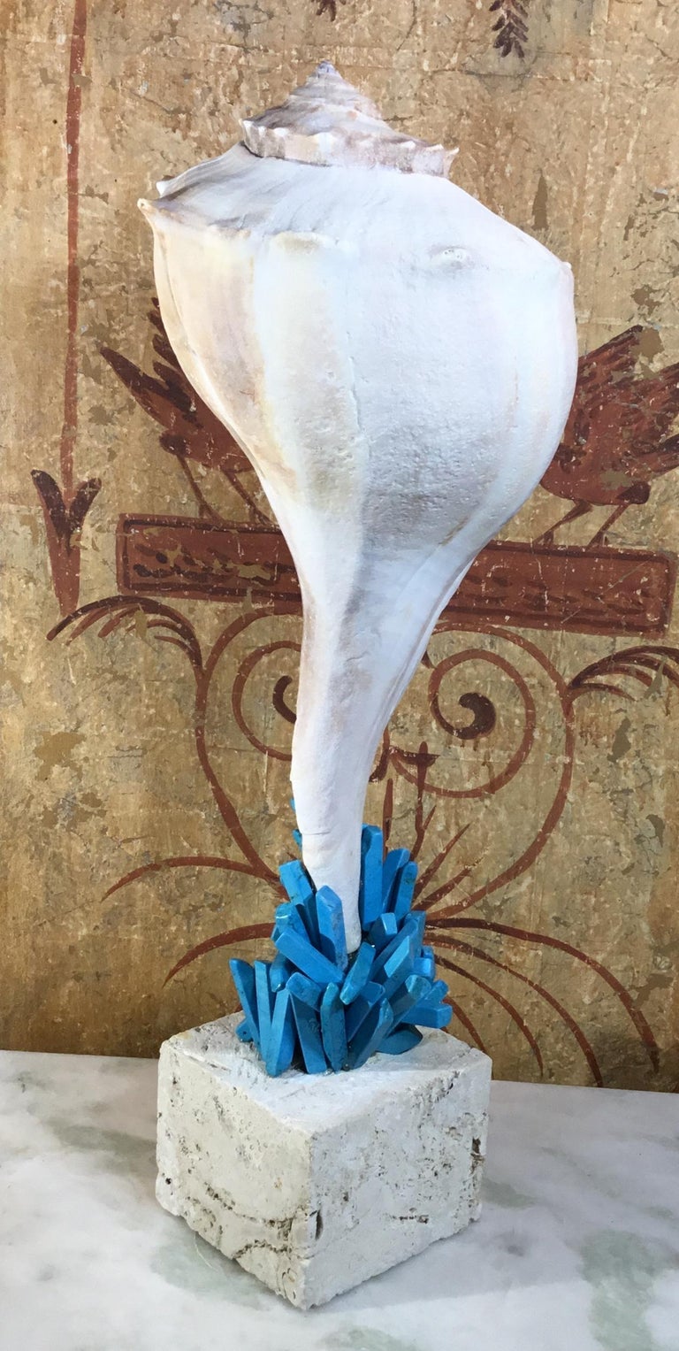 One of a Kind Seashell and Turquoise Stone For Sale at 1stDibs