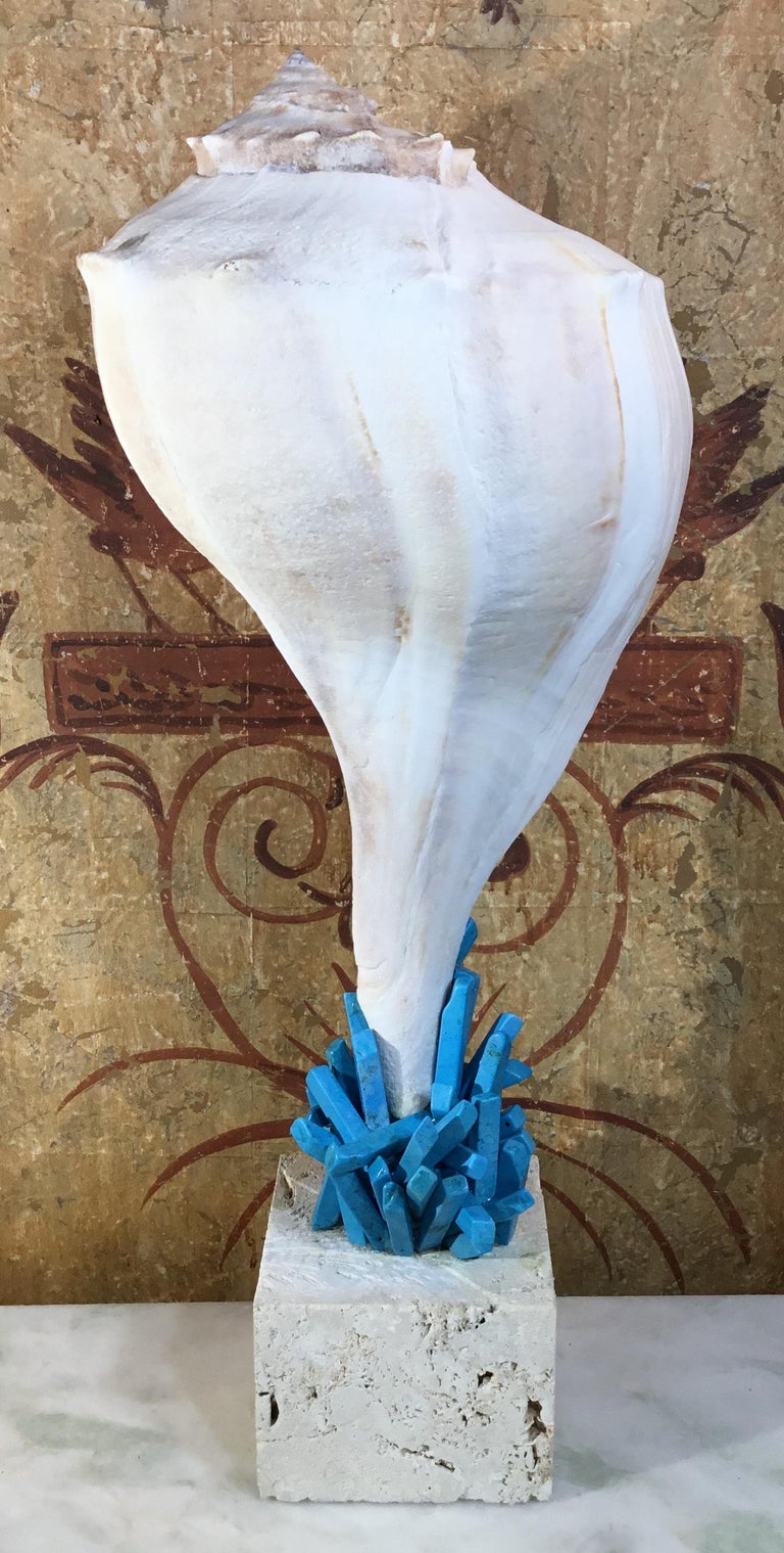 One of a Kind Seashell and Turquoise Stone For Sale at 1stDibs