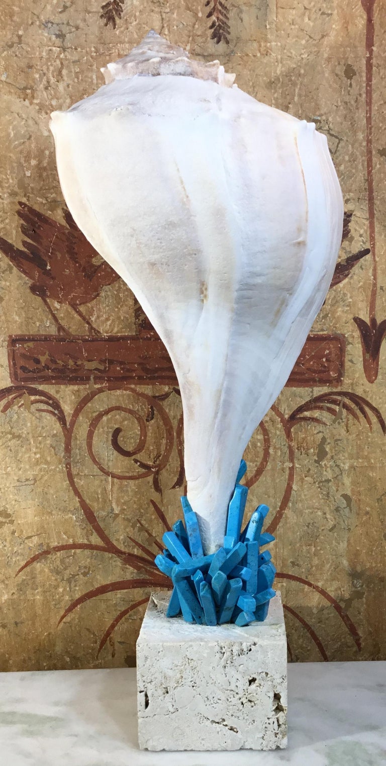 One of a Kind Seashell and Turquoise Stone For Sale at 1stDibs