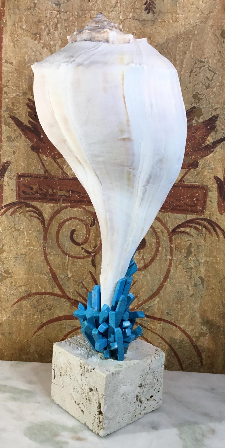 One of a Kind Seashell and Turquoise Stone For Sale at 1stDibs