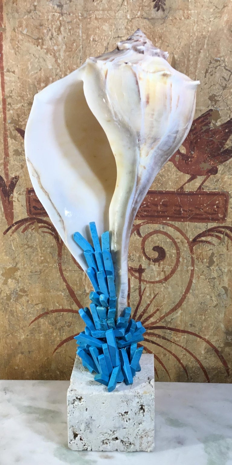One of a Kind Seashell and Turquoise Stone For Sale at 1stDibs
