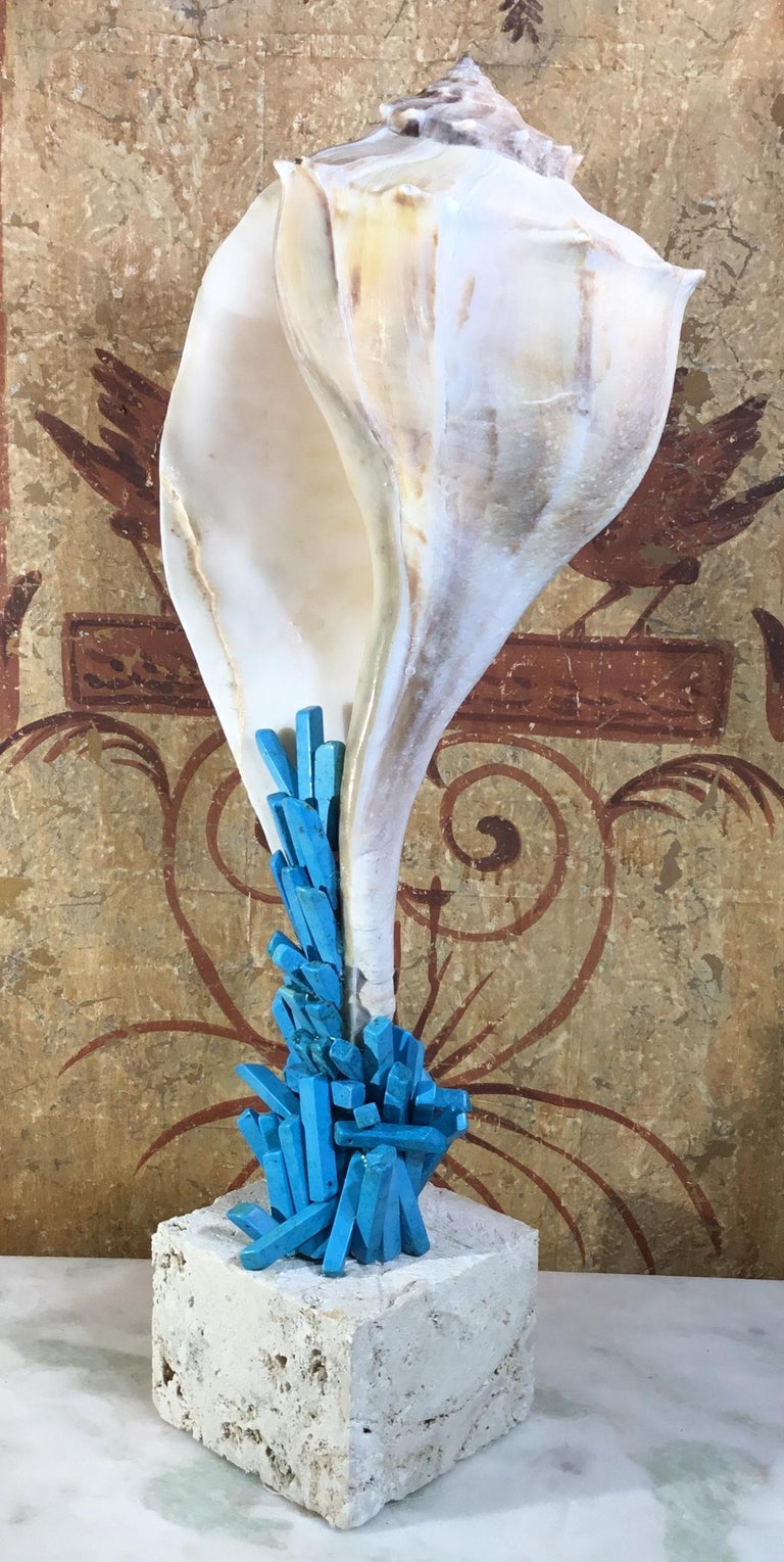 One of a Kind Seashell and Turquoise Stone For Sale at 1stDibs