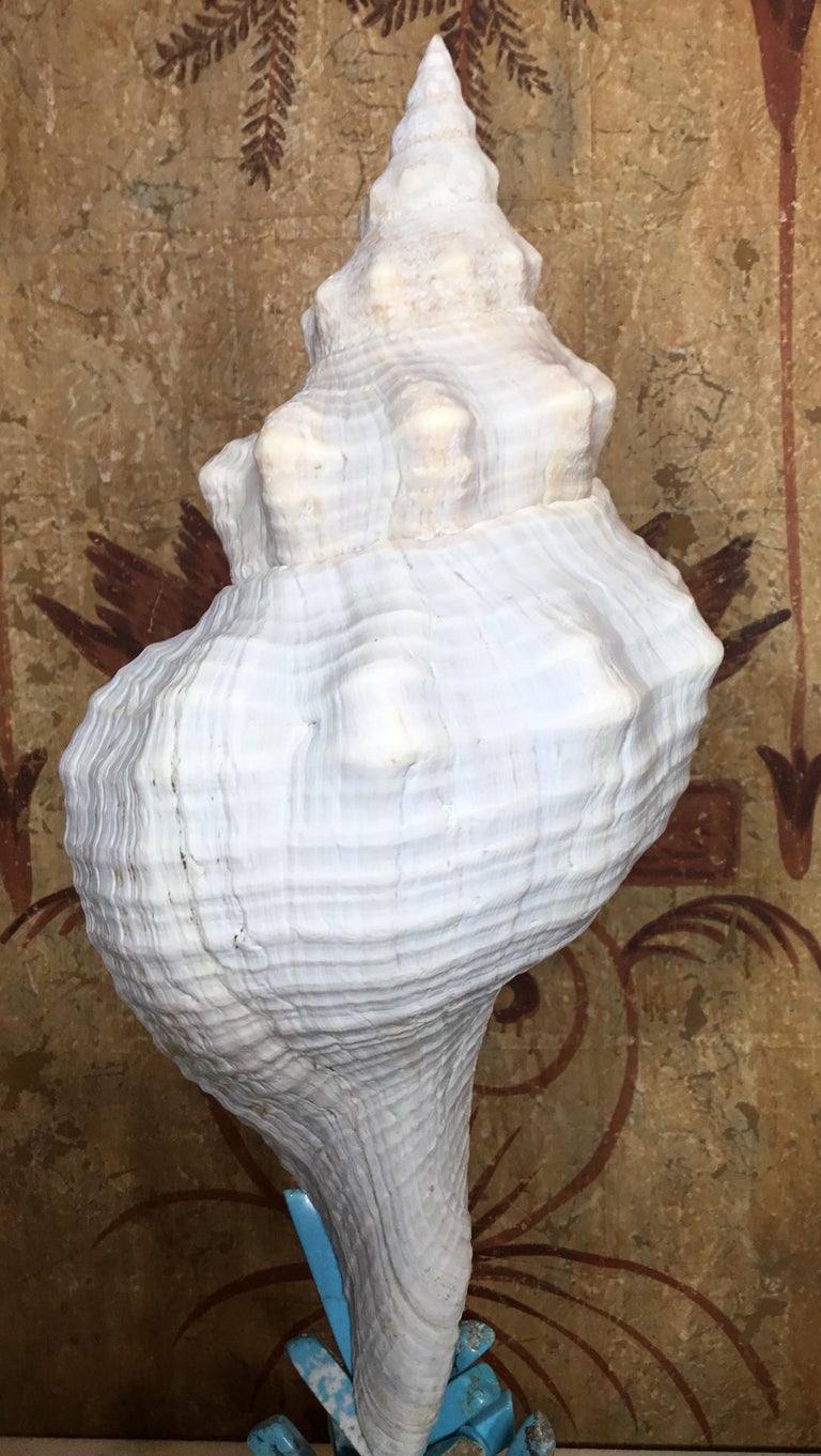 One of a Kind Shell and Turquoise Stone For Sale at 1stDibs