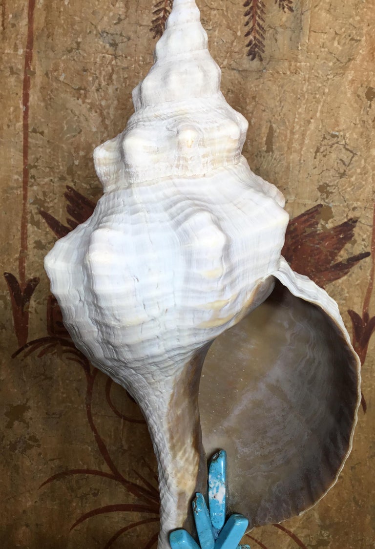 One of a Kind Shell and Turquoise Stone For Sale at 1stDibs