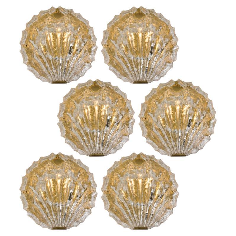 One of the Six Golden Ice Glass Shell Wall Sconces, 1960s For Sale at ...