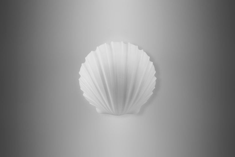 Opal Glass Shell Wall Lamp by Glashütte Limburg, Germany 1970s For Sale ...