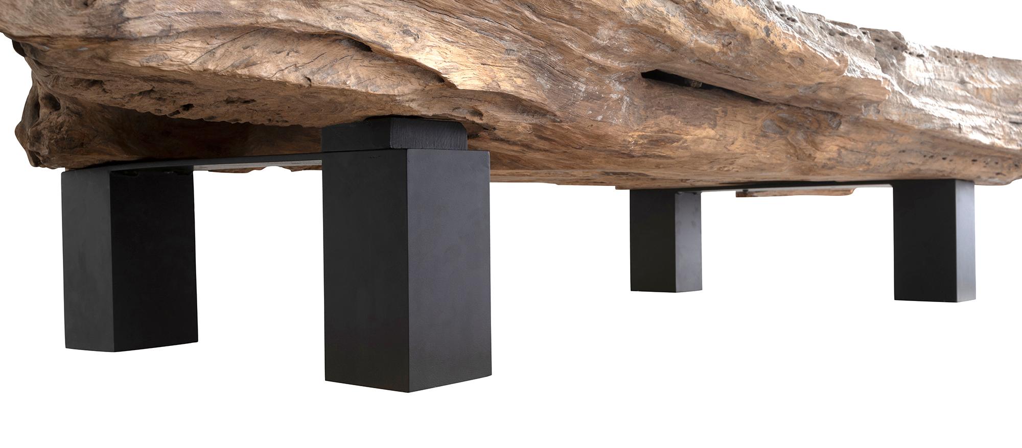 Organic Form Slice on Steel Base Coffee Table For Sale at 1stDibs