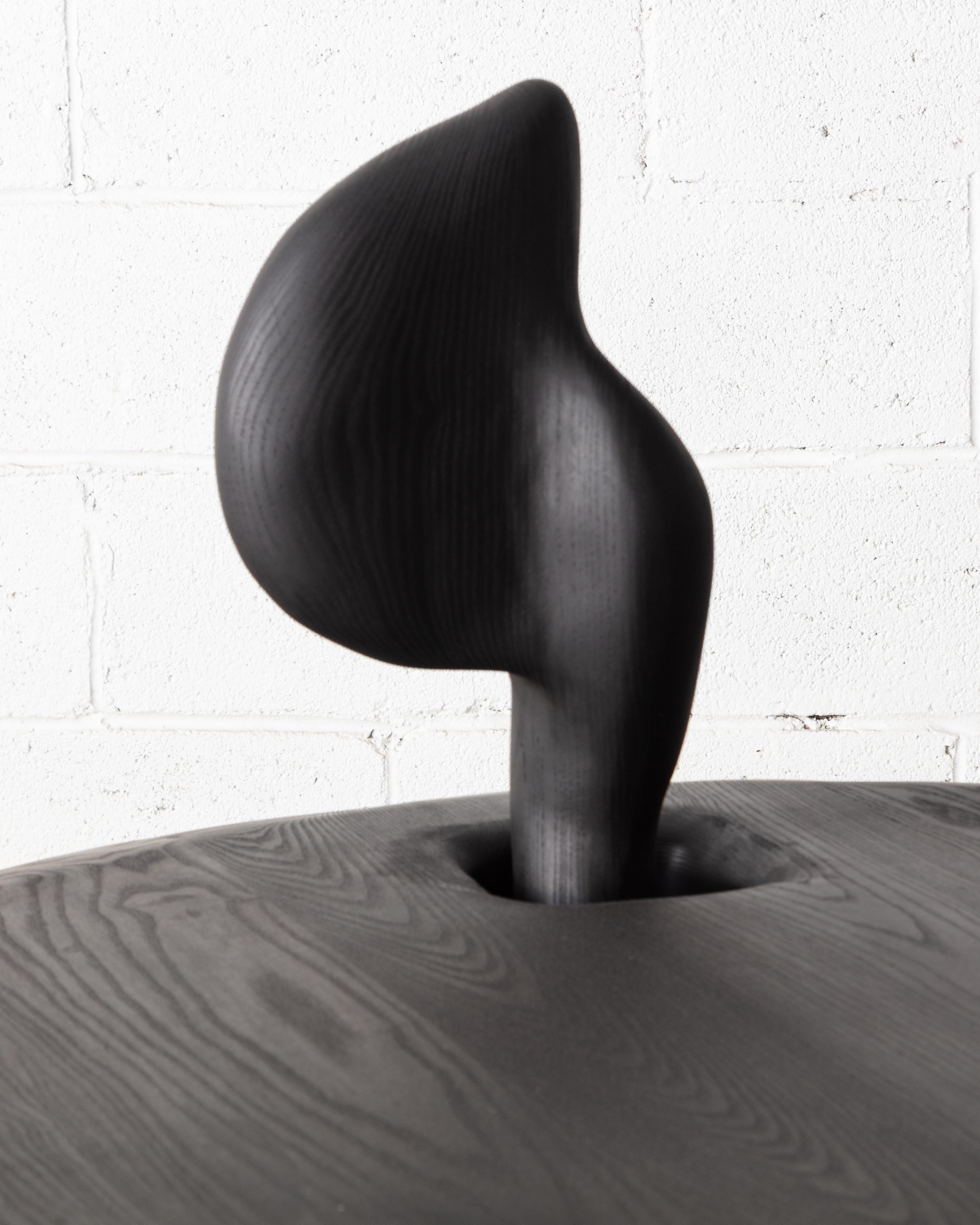 Organic Hand Carved and Ebonized Ash Coffee Table by Casey McCafferty ...