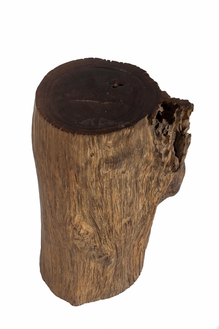 Organic Lychee Wood Stump Side Table at 1stDibs