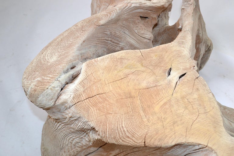 Organic Modern Driftwood Stump Coffee Table Base at 1stDibs