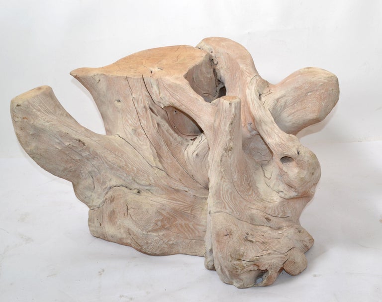 Organic Modern Driftwood Stump Coffee Table Base at 1stDibs