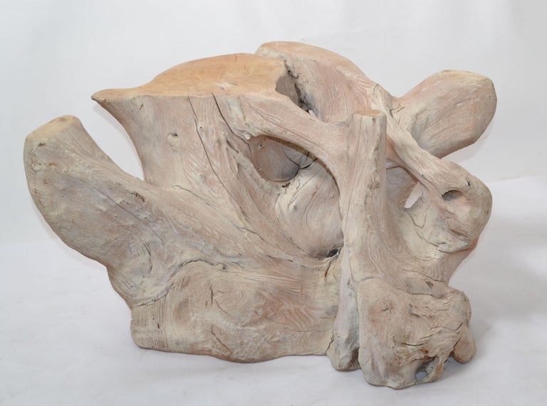 Organic Modern Driftwood Stump Coffee Table Base at 1stDibs