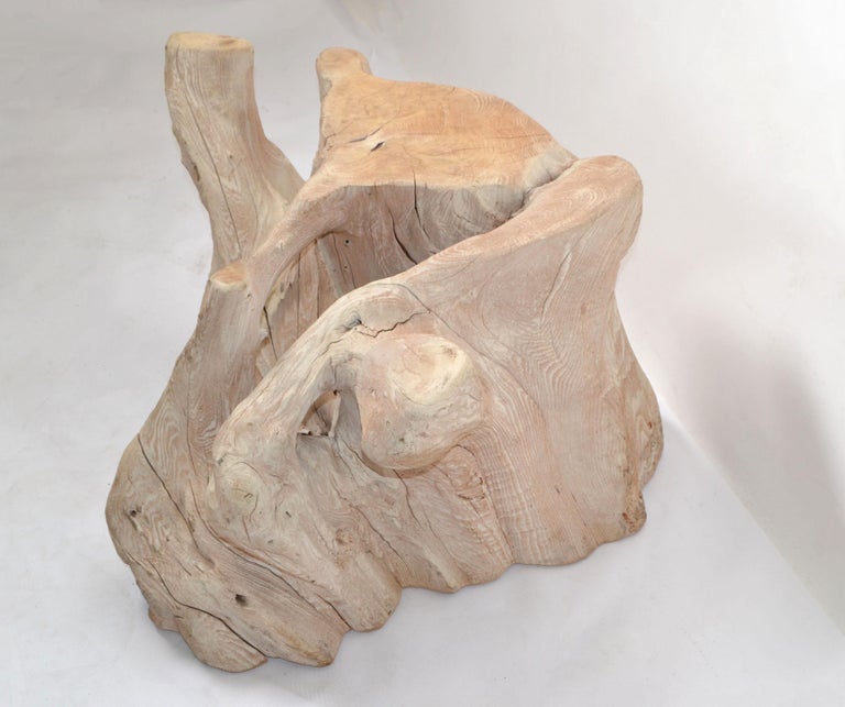 Organic Modern Driftwood Stump Coffee Table Base at 1stDibs