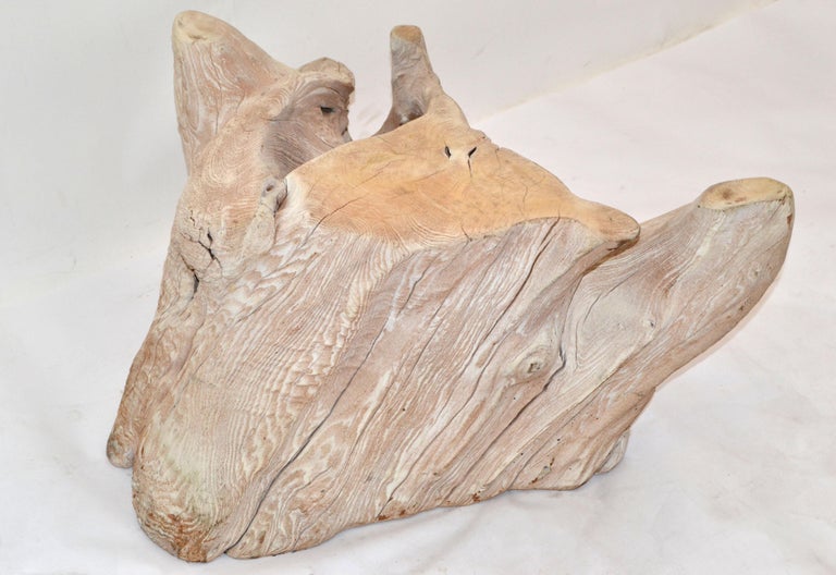 Organic Modern Driftwood Stump Coffee Table Base at 1stDibs