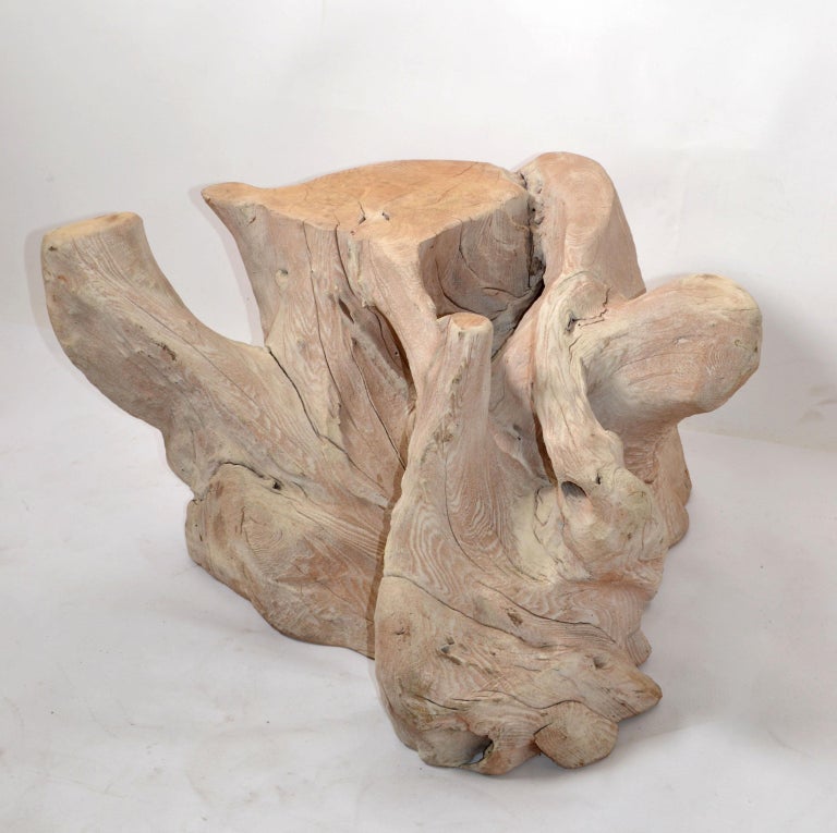 Organic Modern Driftwood Stump Coffee Table Base at 1stDibs