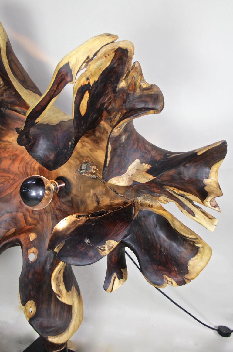 Organic Modern Lightning Sculpture, Sonokeling Wood On Black Metal ...