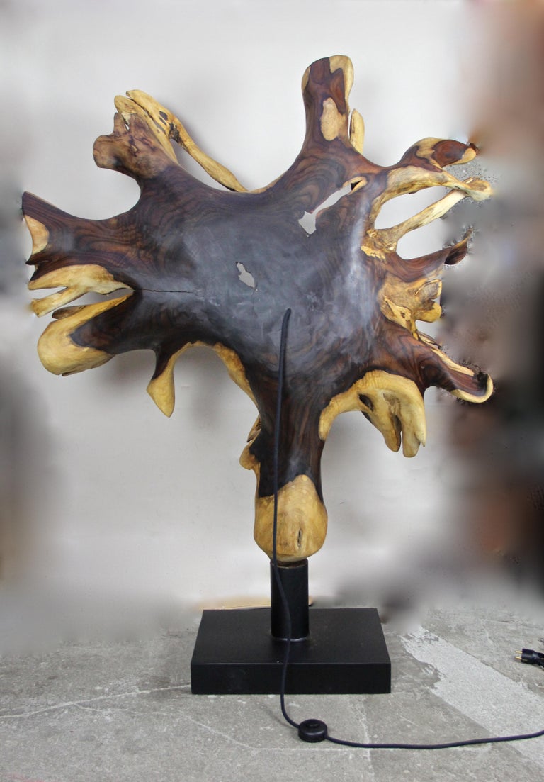 Organic Modern Lightning Sculpture, Sonokeling Wood On Black Metal ...