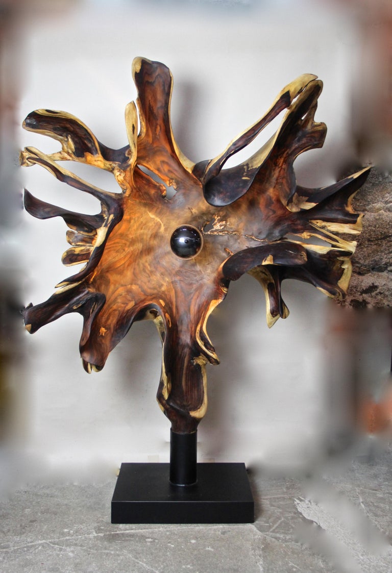 Organic Modern Lightning Sculpture, Sonokeling Wood On Black Metal ...