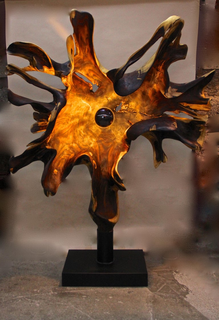 Organic Modern Lightning Sculpture, Sonokeling Wood On Black Metal ...