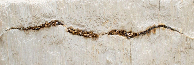 Organic Modern Petrified Wood Side Table with Pyrite For Sale at 1stDibs