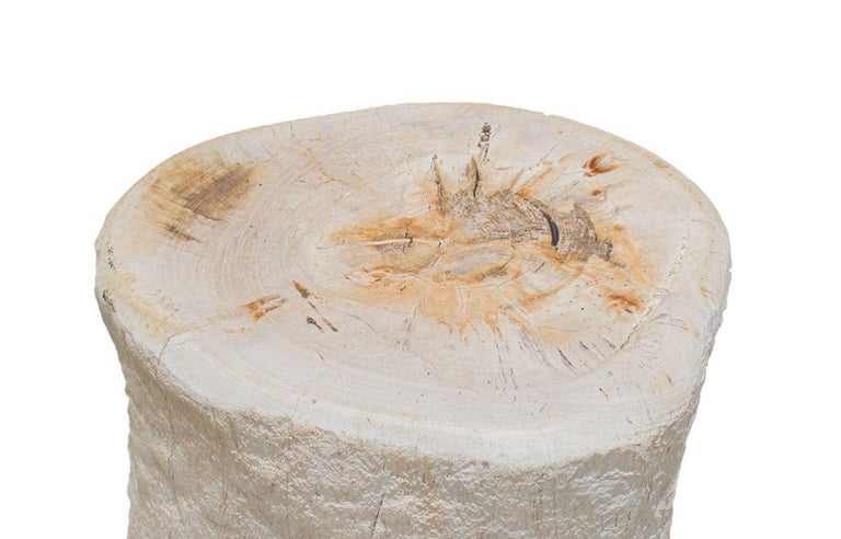 Organic Modern Petrified Wood Side Table with Pyrite For Sale at 1stDibs