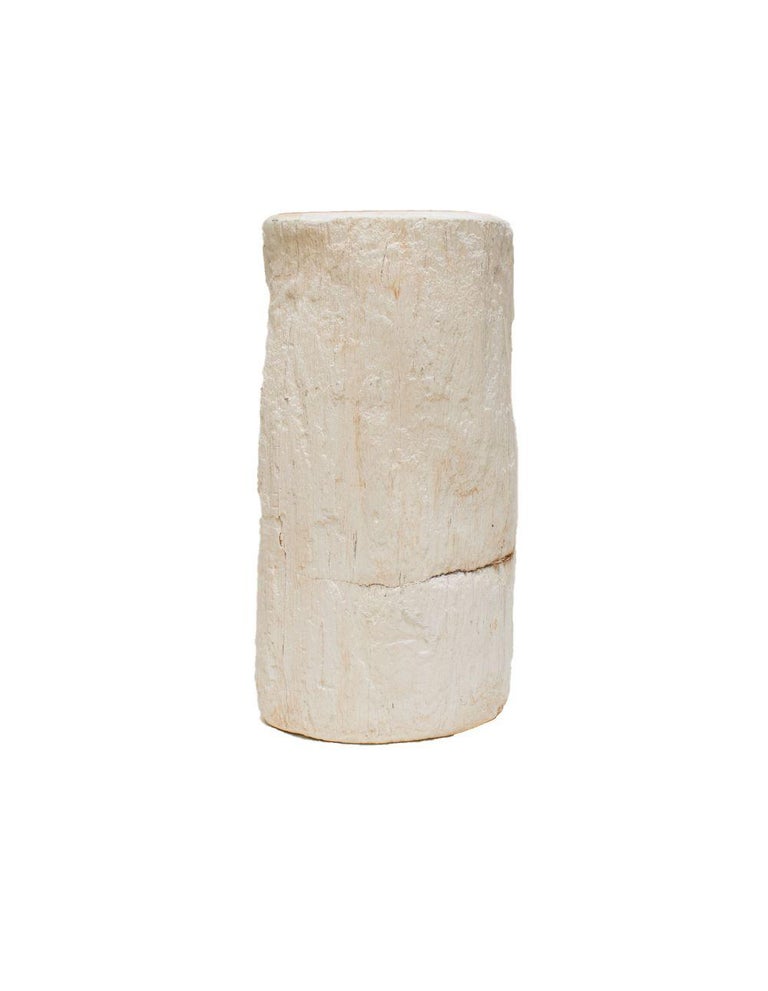 Organic Modern Petrified Wood Side Table with Pyrite For Sale at 1stDibs