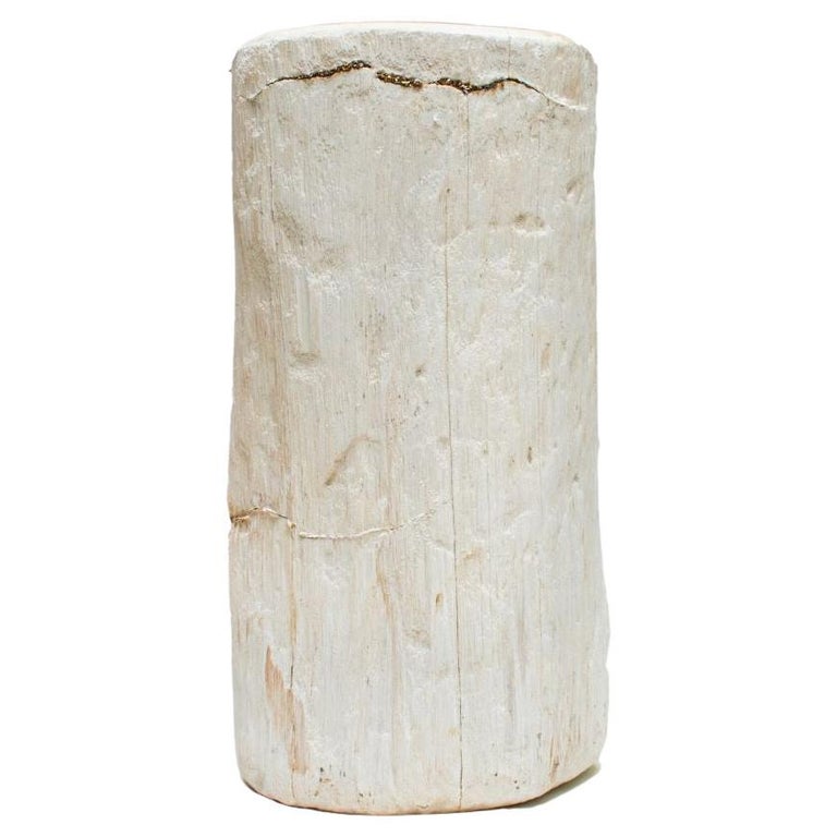 Organic Modern Petrified Wood Side Table with Pyrite For Sale at 1stDibs