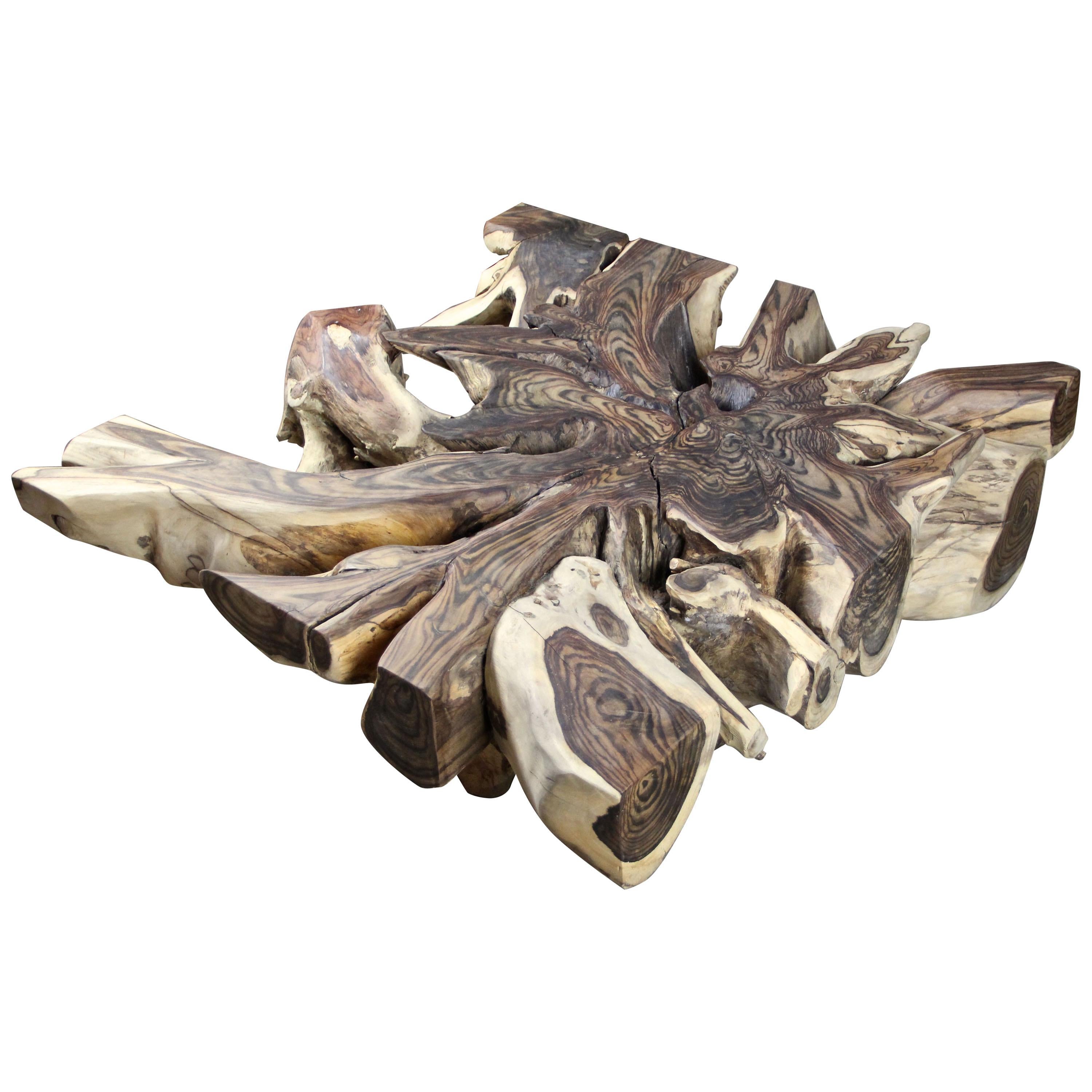 Organic Modern Sonokeling Wood Root Coffee Table at 1stDibs