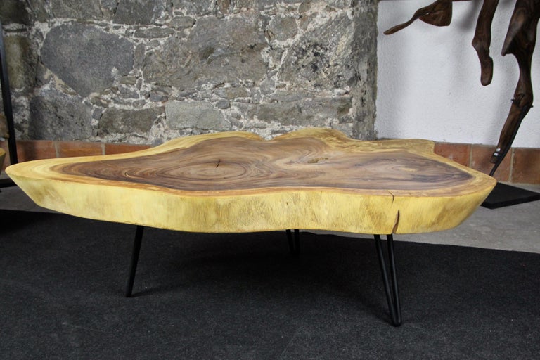 Organic Modern Suar Tree Coffee Table on Black Metal Feet For Sale at ...