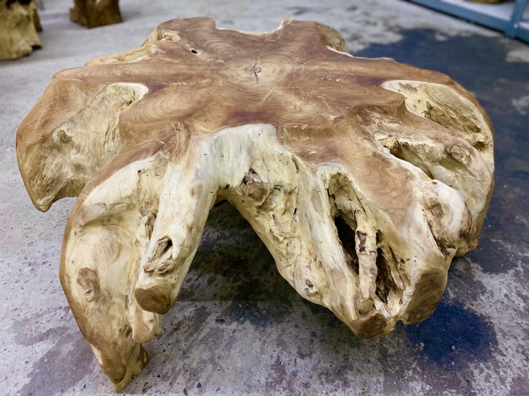 Organic Modern Teak Root Coffee Table or Sofa Table, 2021 For Sale at ...
