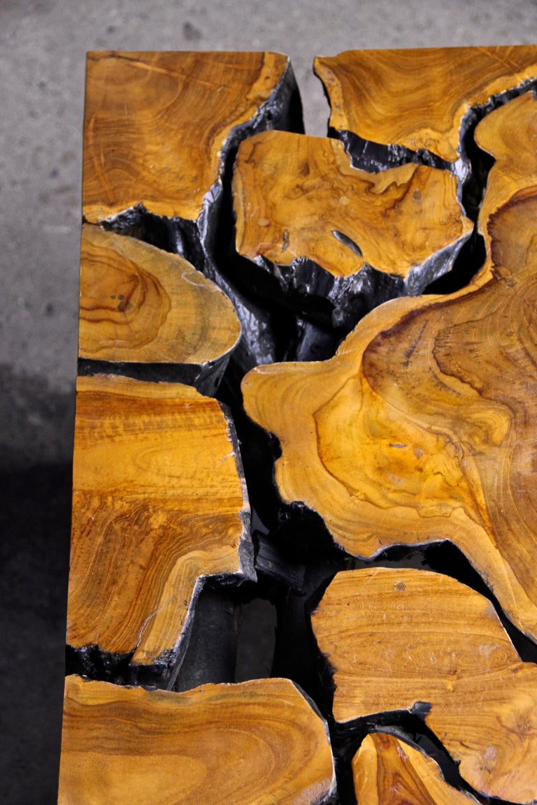 Organic Modern Teak Root Coffee Table "The Puzzle" on Stainless Steel ...