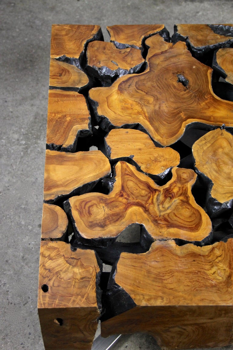 Organic Modern Teak Root Coffee Table "The Puzzle" on Stainless Steel ...