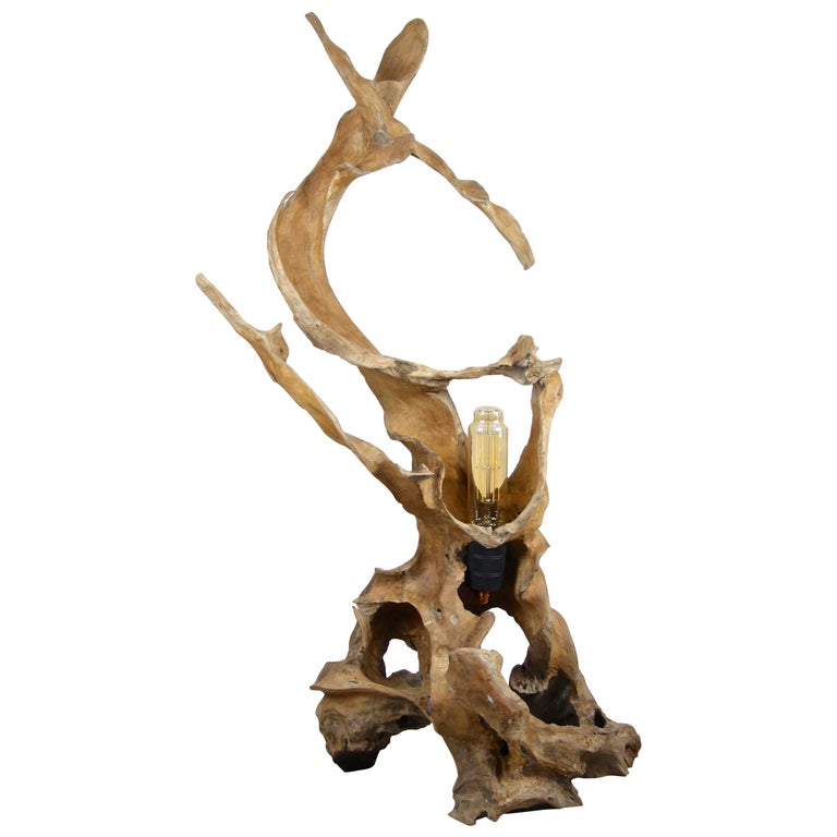 Organic Modern Teak Root Floor Lamp with Special LED Bulb at 1stDibs