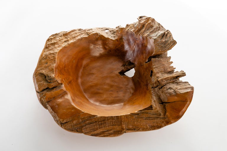 Organic Root Bowl For Sale at 1stDibs