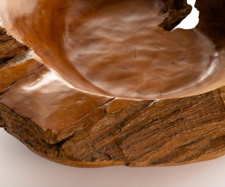 Organic Root Bowl For Sale at 1stDibs
