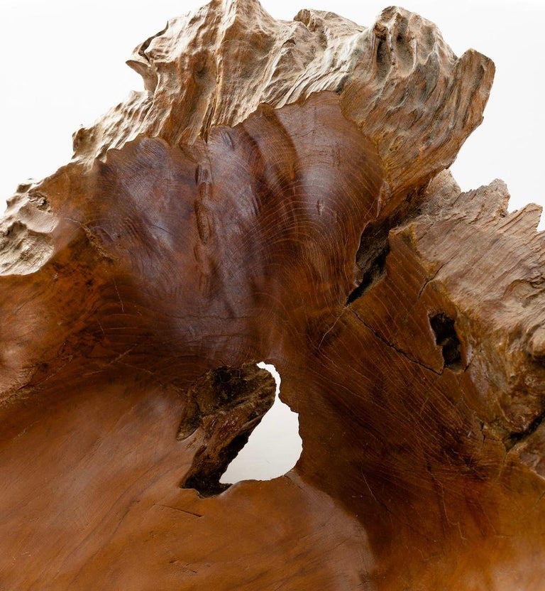 Organic Root Bowl For Sale at 1stDibs