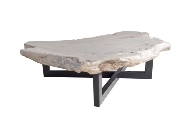 Organic Slice Coffee Table on Ebonized Steel Base For Sale at 1stDibs